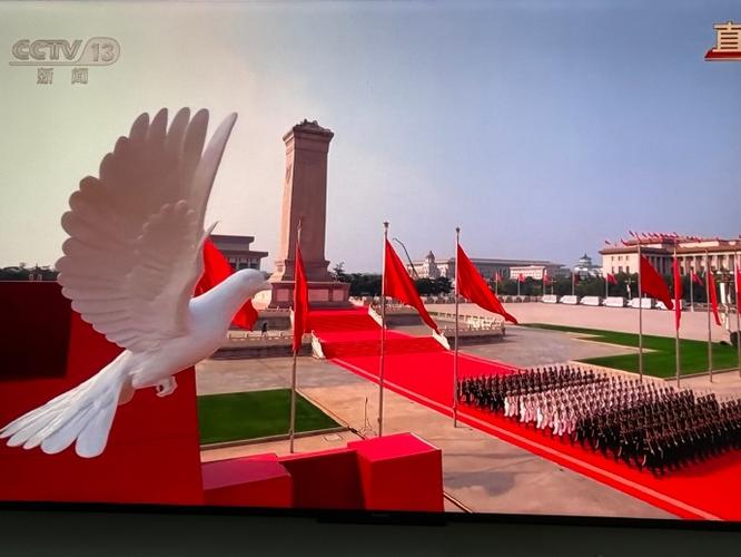 国庆阅兵2009直播图标