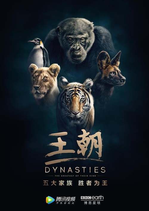 王朝看高清影视在线截图