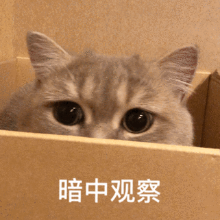 疯狂暗示表情图片猫截图