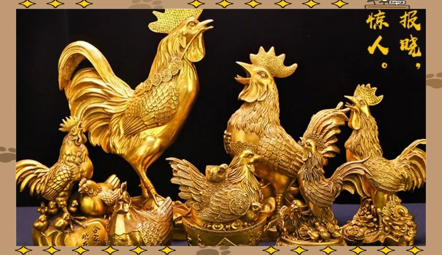 家里养几只鸡风水好截图