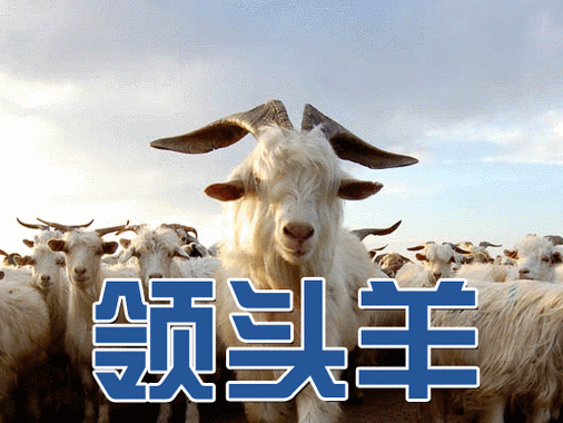 霸气领头羊图片图标