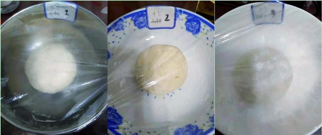 酵母发酵的最佳温度图标