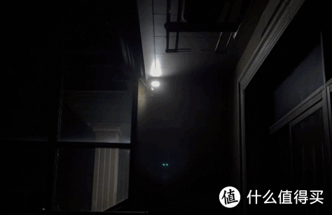 摄像头红外灯亮,看不到图像截图