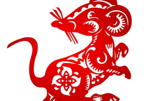 红发紫最准确生肖缩略图