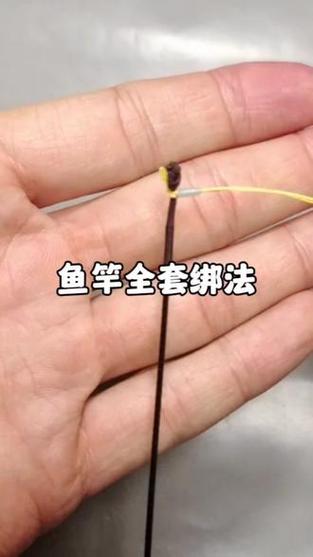 鱼线鱼竿连接的绑法图解截图