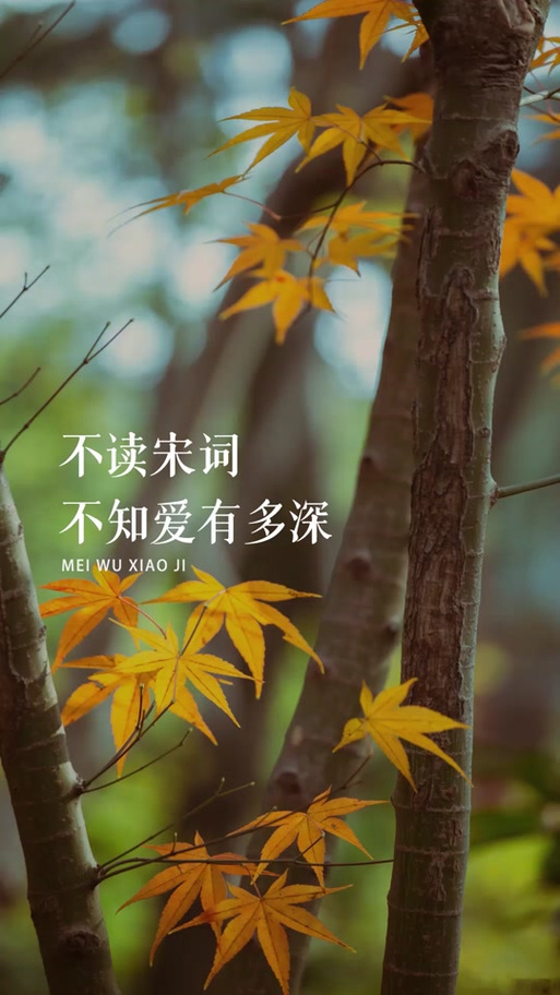 爱的诗歌 赞美诗图标