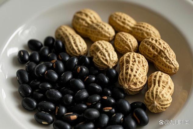 黑豆科技图标
