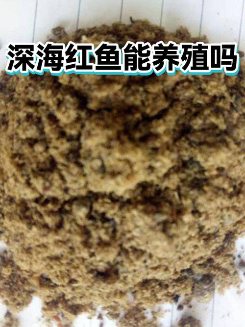 深海红鱼好吃吗图标