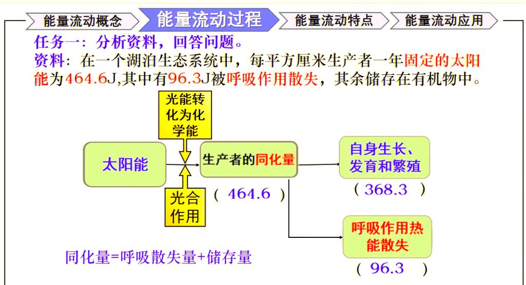 生态系统的能量流动图标