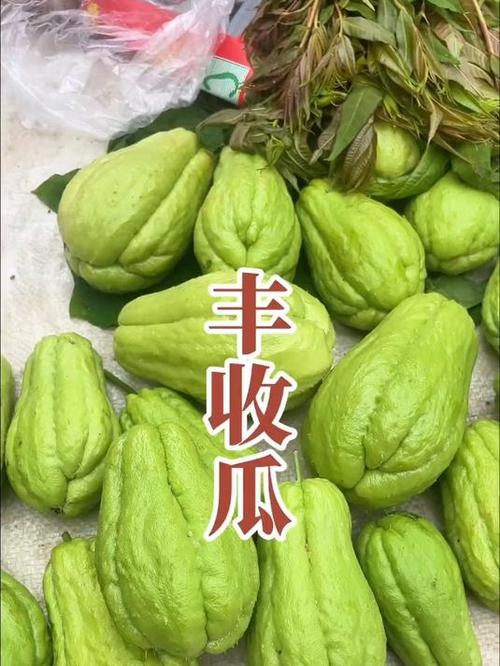 最近有什么瓜