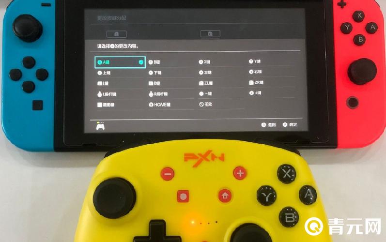 switchpro手柄怎么配对ns图标