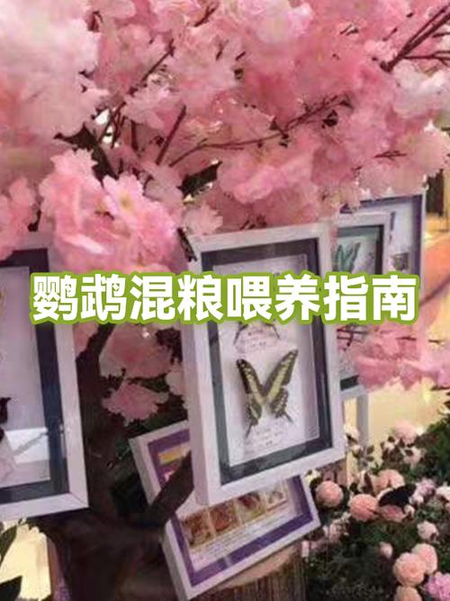 鸟粮几天换一次比较好图标