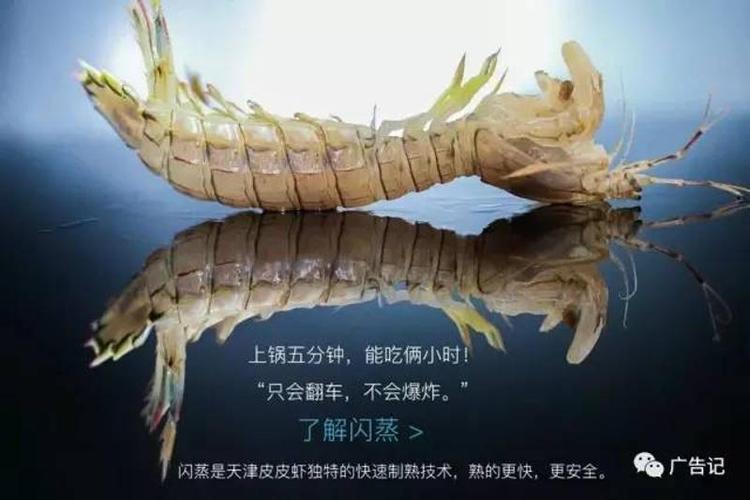 皮皮虾纯净无广告版图标