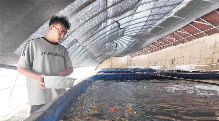 致富网养鱼图标