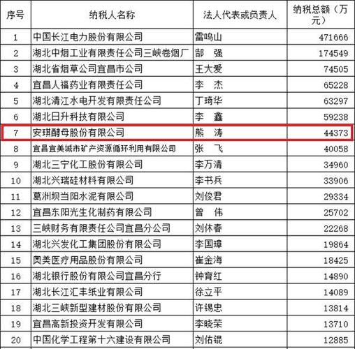 宜昌市企业排名图标
