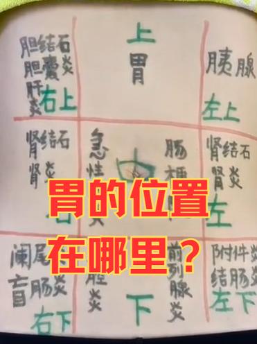 食道在左边还是右边图标