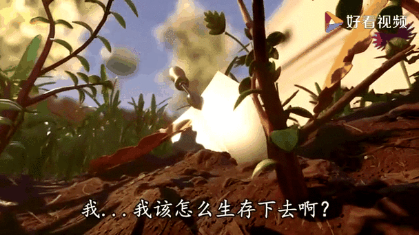 小浪生存图标
