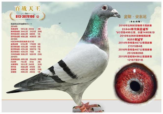 百战天王图标