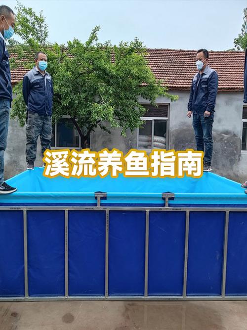 溪流石适合养什么鱼图标