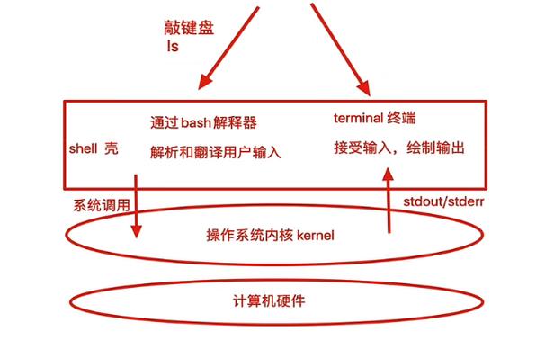 shell的种类有哪些图标