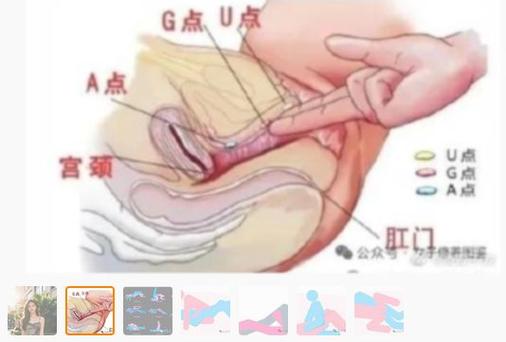 女性巅峰状态的生理反应图标