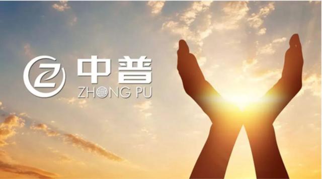 中普金服科技集团图标