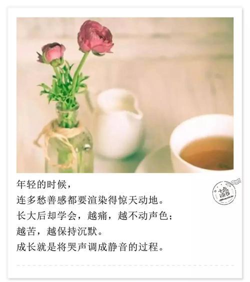成长就是将一切情绪调成静音图标