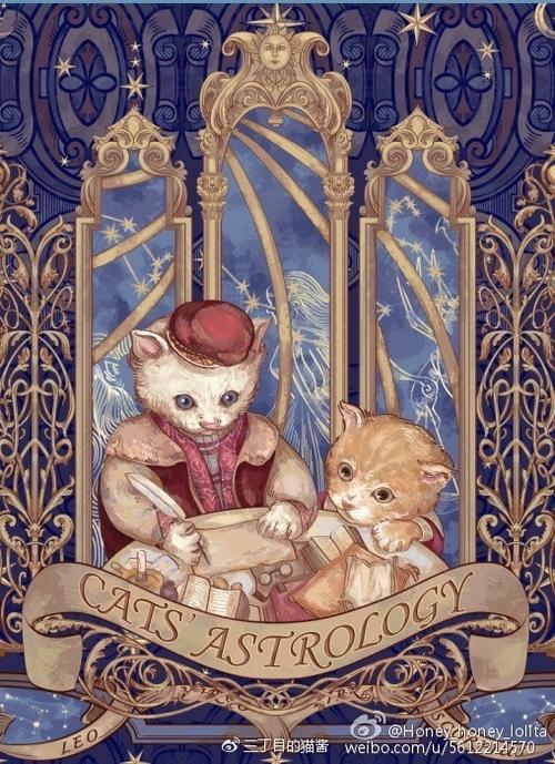占星猫塔罗牌截图