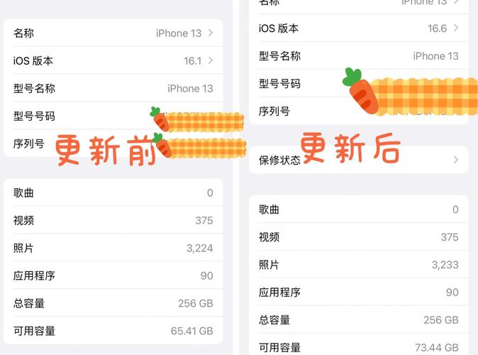 苹果6p能升级到ios13吗图标