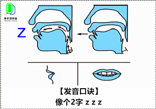 zcs记忆口诀图标