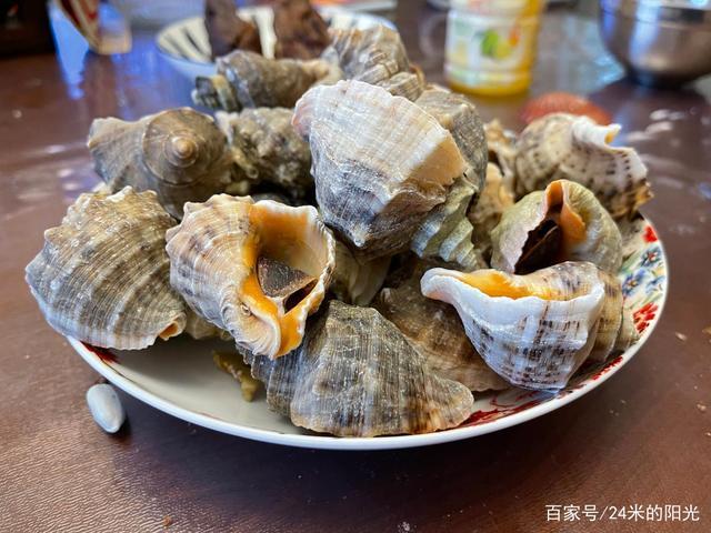 怎么去除海螺壳的腥臭味图标