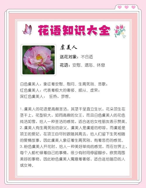 虞美人的花语图标