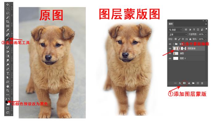 ps中的动作怎么用截图