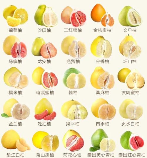 大柚子是谁图标