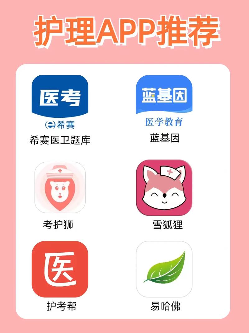 夜猫子护考app
