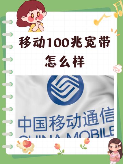 100兆宽带一月能用完吗截图