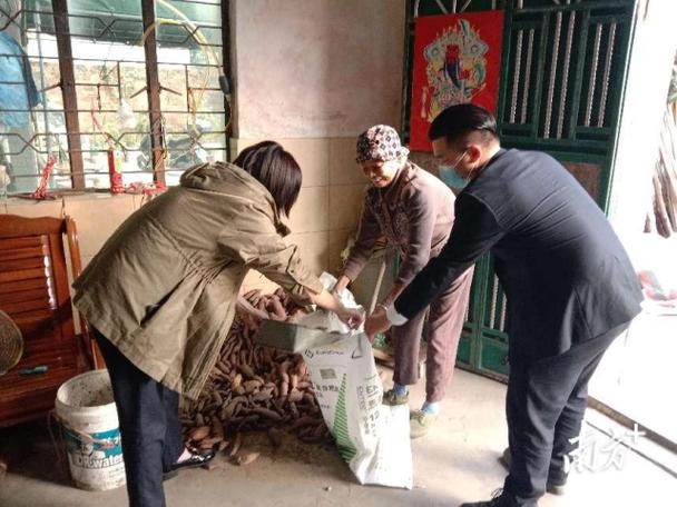 米粮兼职截图