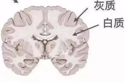 气血贲张是什么意思截图