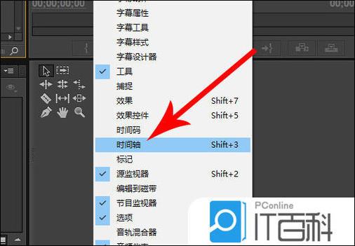 premiere发音截图
