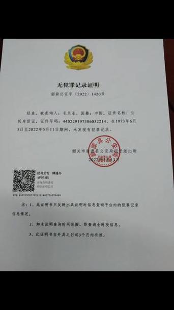 无犯罪记录证明电子版图标