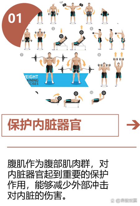 健身腹肌训练教程图标