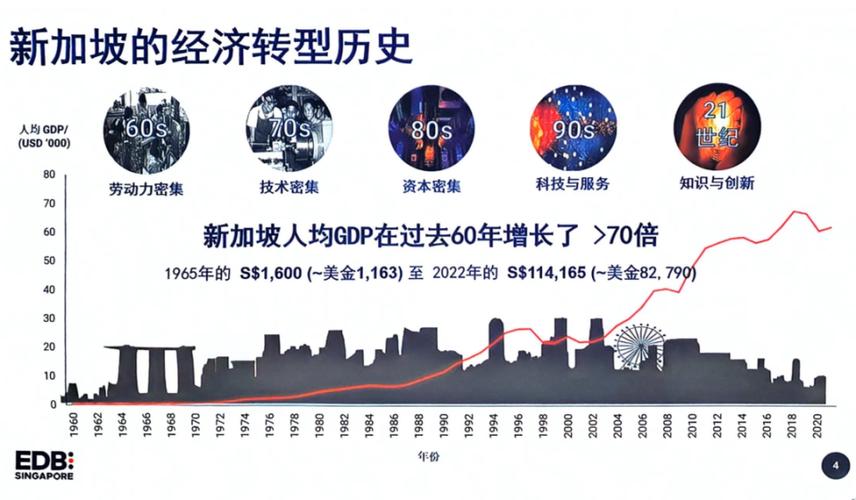 1998年从新加坡引入经济模式截图