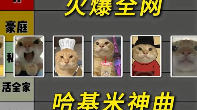 最近很火的哈基米是什么意思截图