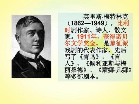 青鸟的主人公是谁图标