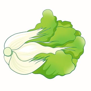 白菜动漫图标