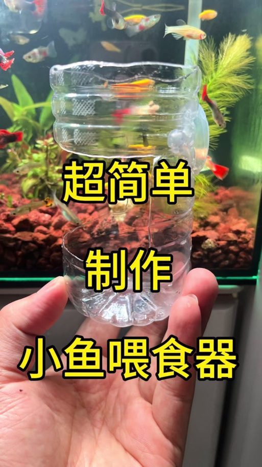 diy自动喂食器鱼图标