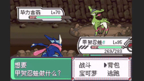 究极绿宝石无法mega进化图标