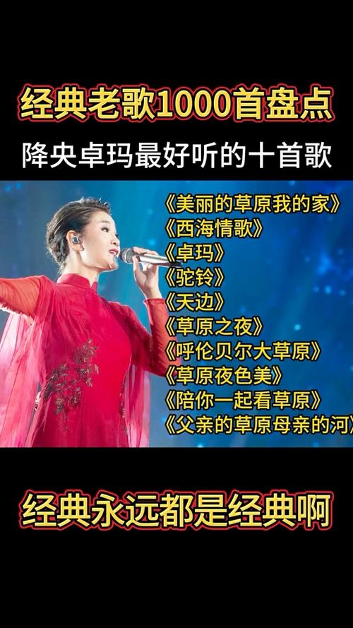 央歌曲大全图标