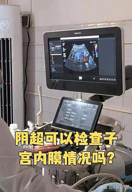 子宫内膜β-catenin阴性图标