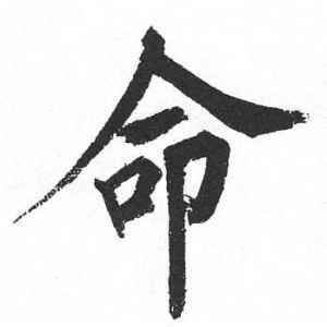 怎么看命盘截图